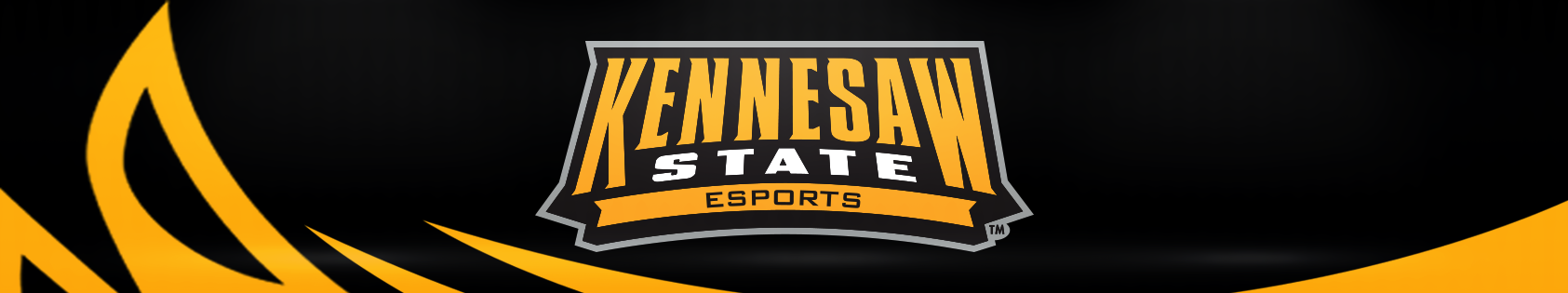 Kennesaw State University